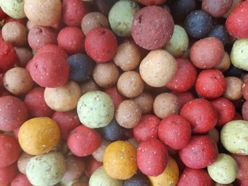 Mixed Boilies | Best Bulk Buy Carp Bait