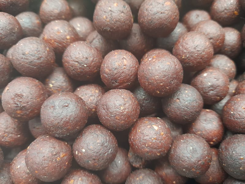 krill carp bait boilies