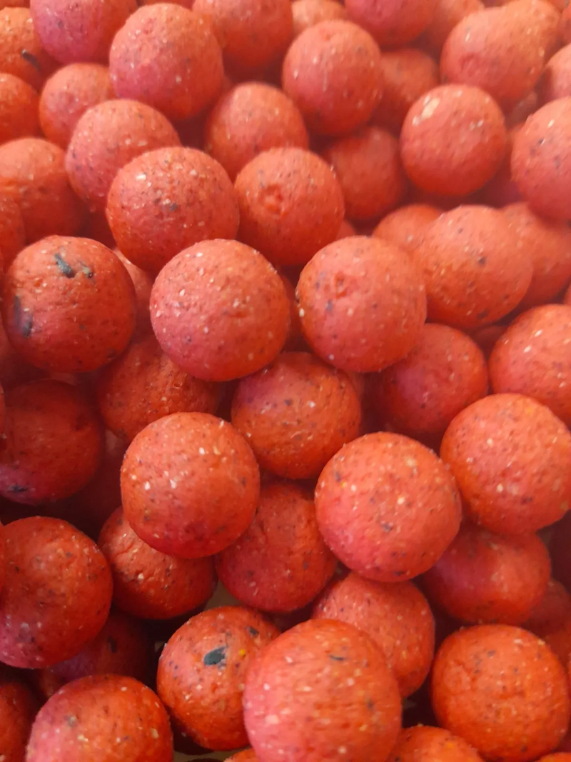 stinky shrimp carp bait boilies