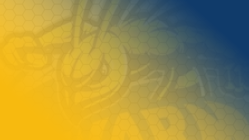 Roster activity - Manchester Swarm