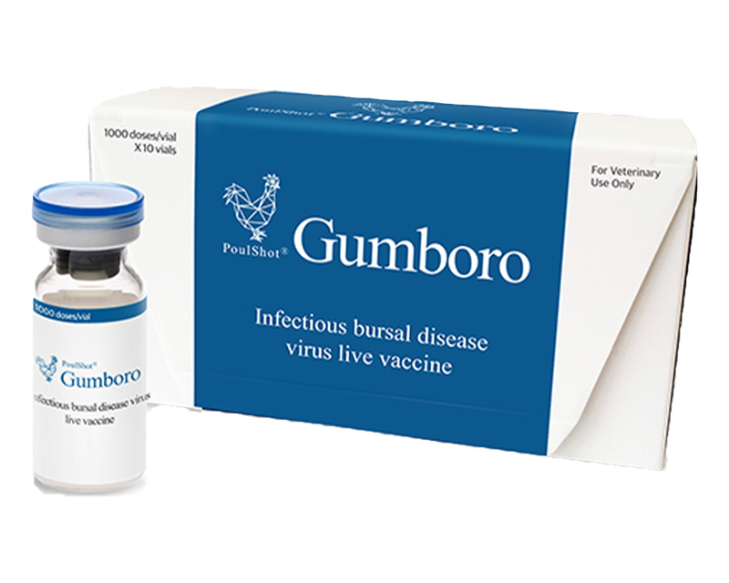 Gumboro Vaccine 1000 doses