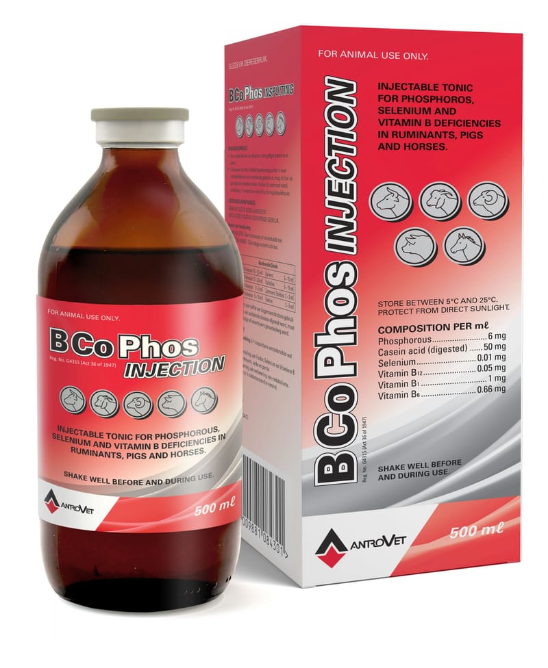 Bco Phof INJECTION 100ml