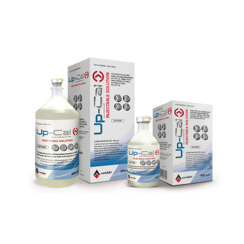 Up-Cal Injectable solution 100ml