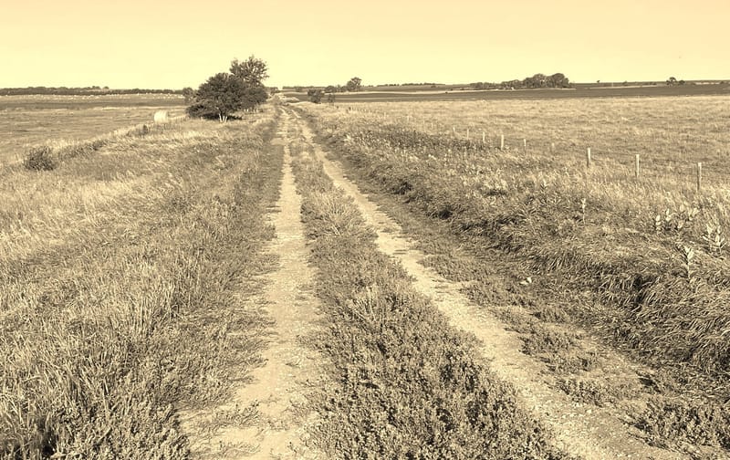 I WANT WHAT YOU HAVE - SARAH.ANN.ROSE