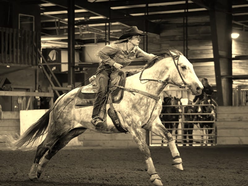 Embracing the Journey: A Story of Faith, Trust, and New Beginnings ...