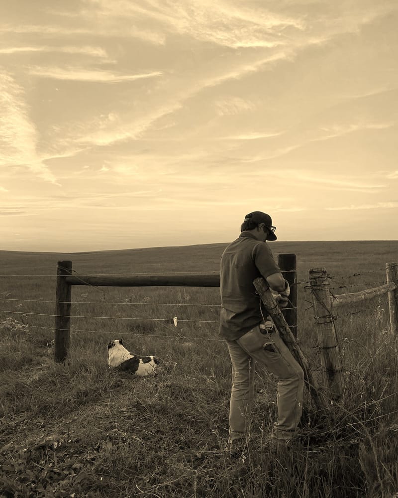 Finding Redemption Through Struggle: A Conversation with Dylan Madsen ...