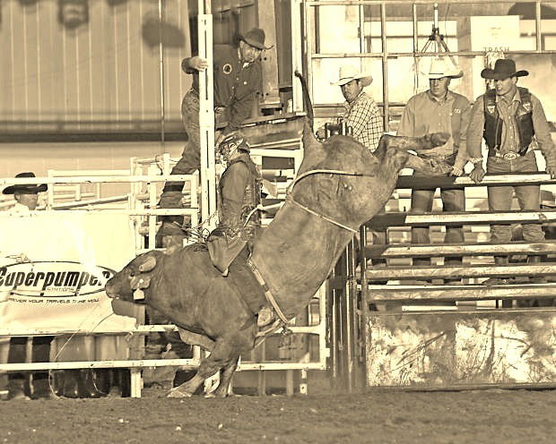 From Rodeo to Redemption: A Journey of Faith - SARAH.ANN.ROSE