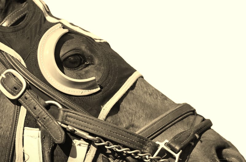 Self Confidence? - SARAH.ANN.ROSE