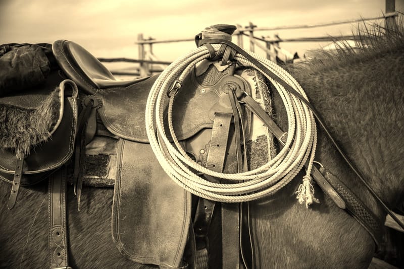 The Draw of Life - SARAH.ANN.ROSE