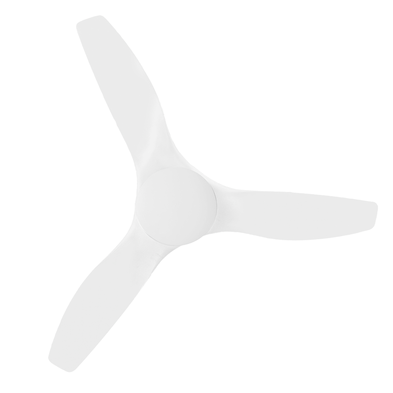 Ceiling Fans in Perth