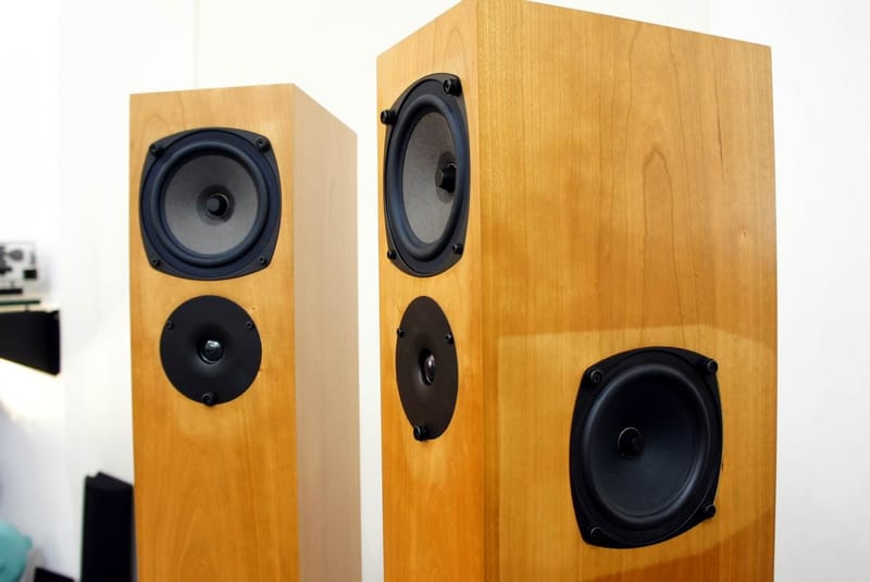 רמקול רצפתי Rega RS3