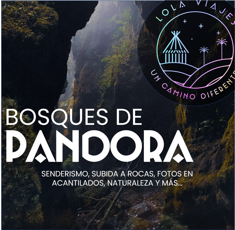 BOSQUES DE PANDORA DESCRIPCIÓN - LOLA VIAJES