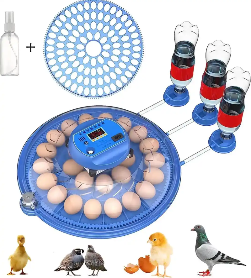 18 Eggs Fully Automatic Intelligent Incubator ac/dc dual power supply - Multan Hatching Master