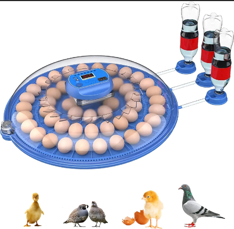 52 Eggs Intelligent Incubator – Fully Automatic | Dual Power 12V/220V