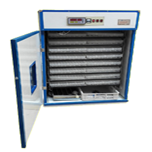 HHD 1232 Egg Commercial Incubator – Fully Automatic Hatching Machine