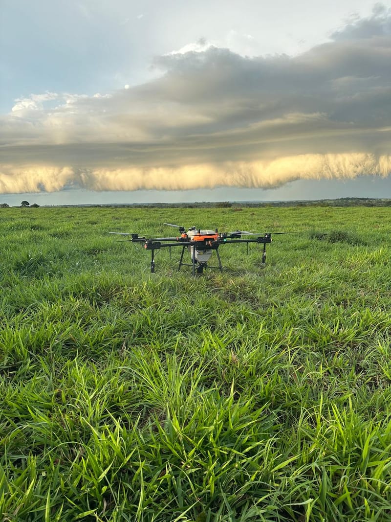 Equipe - AGROLL CONSULTORIA RURAL