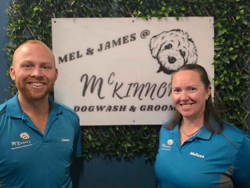 Starter Services Pricing - Home