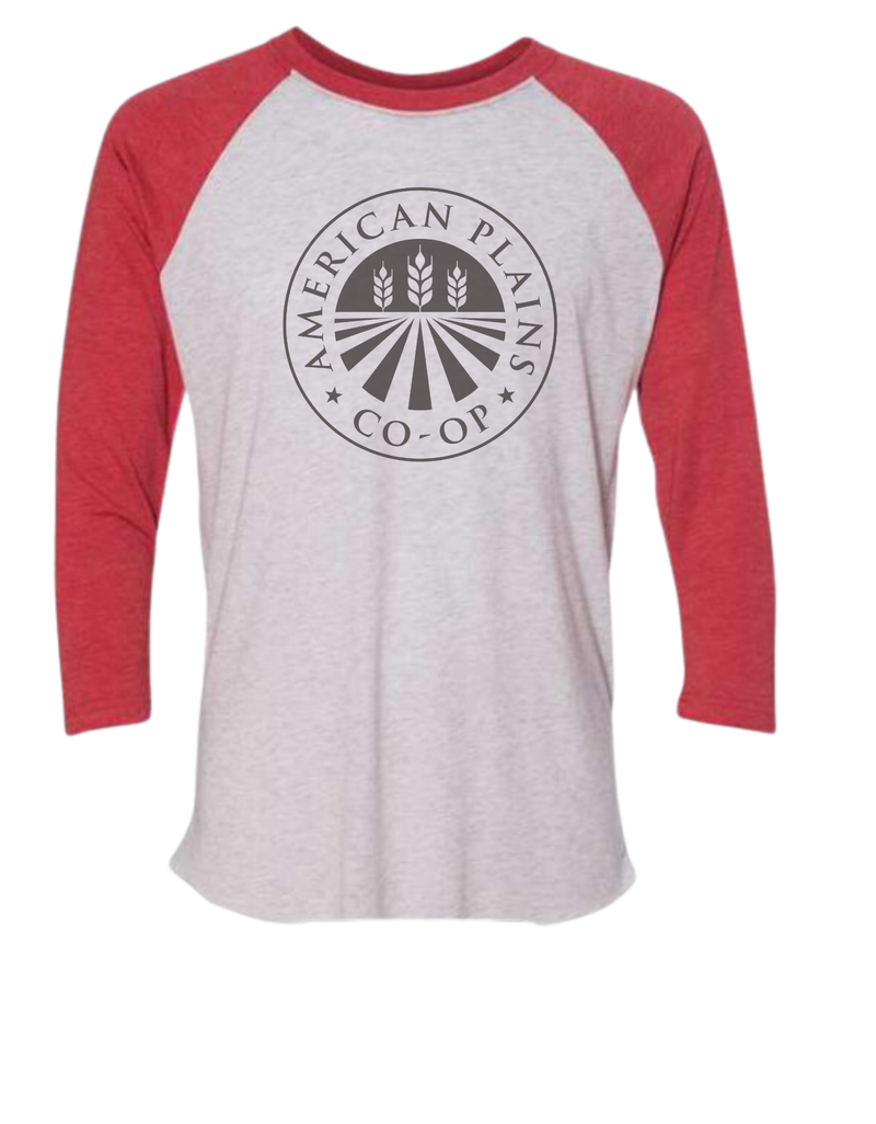Next Level Tri-blend Raglan - sporessublimation.com
