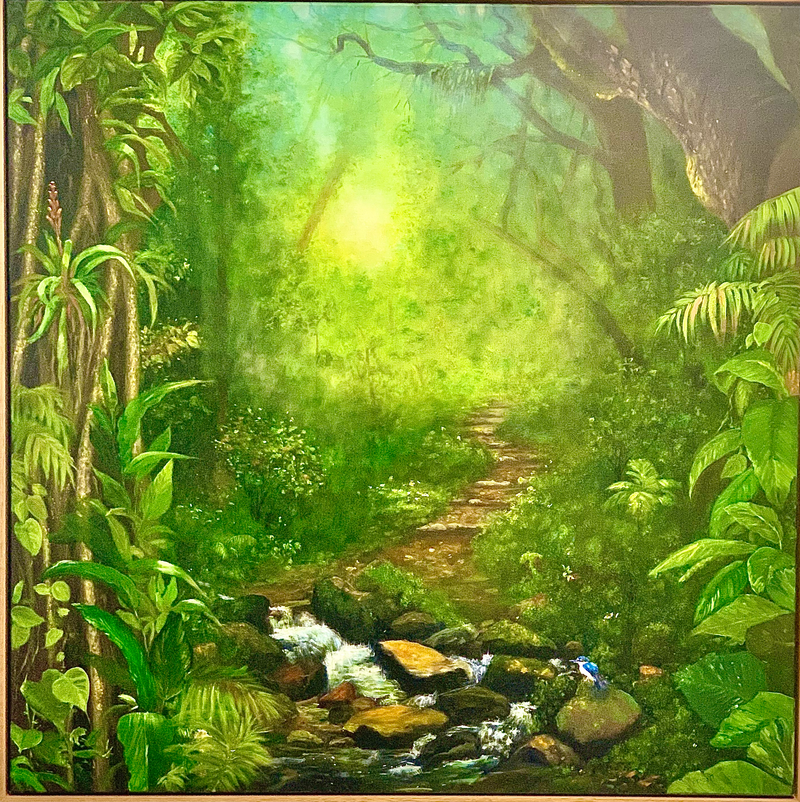 'BRENDA BRYANT' Artist - Nimbin Artists Gallery