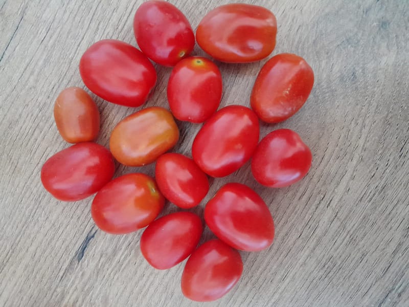 Roman Cherry tomatoes - Heirloom Bean Seeds Co