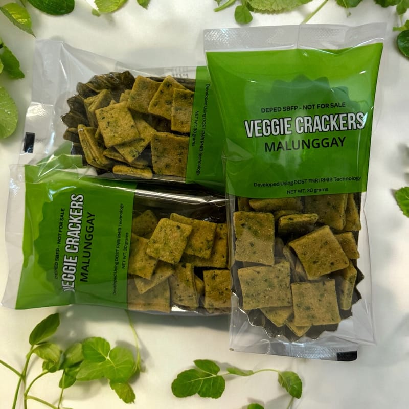 Malunggay Vegetable Crackers – Superfood Snack