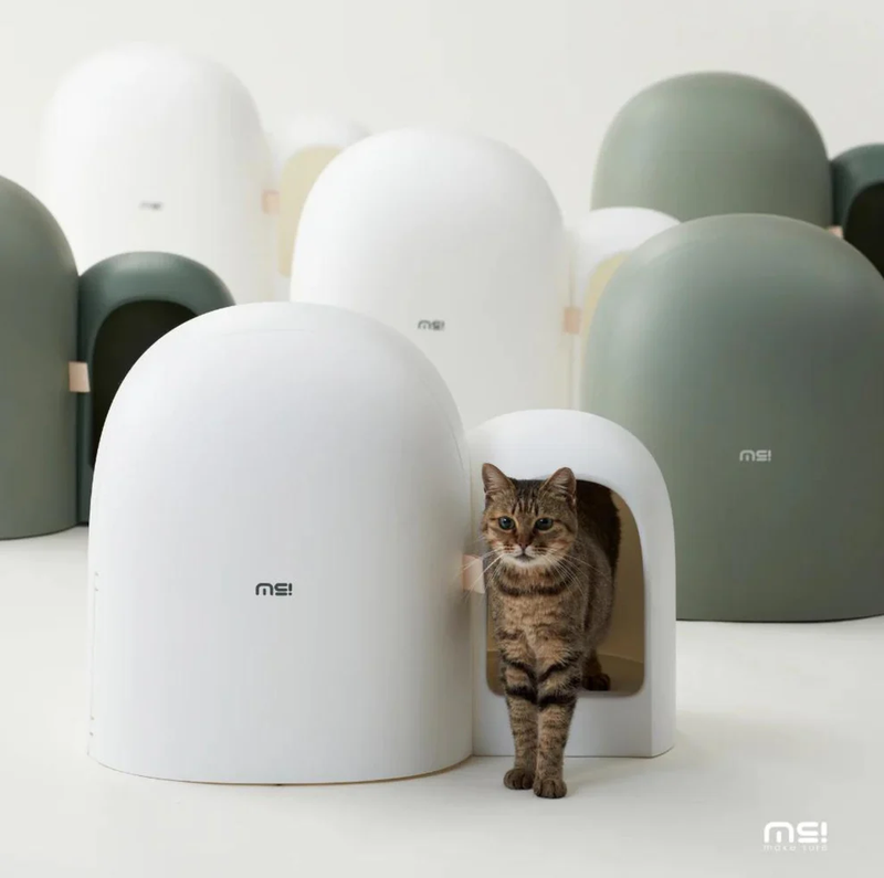 Meow Cat Hotel - Meow Cat Hotel