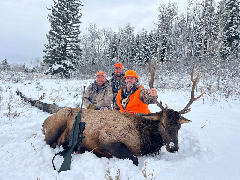 FULLY GUIDED HUNTS - 44 OUTFITTERS