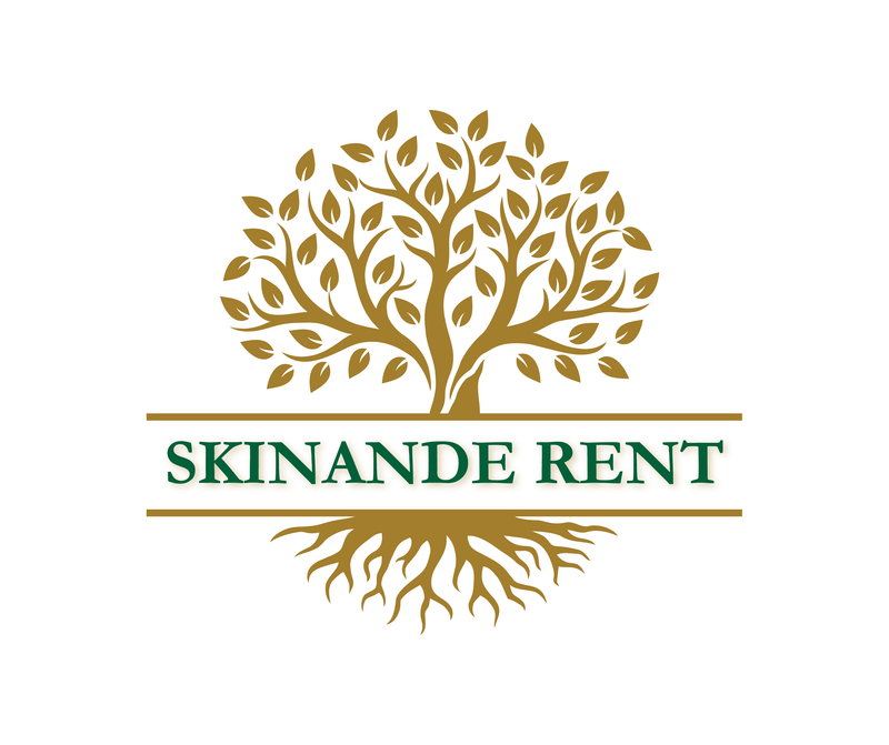 Skinande - Städföretag