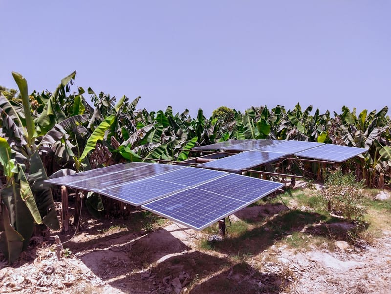 Wonder Sun PR by ProSolar PR - Energia Eco-Amigable