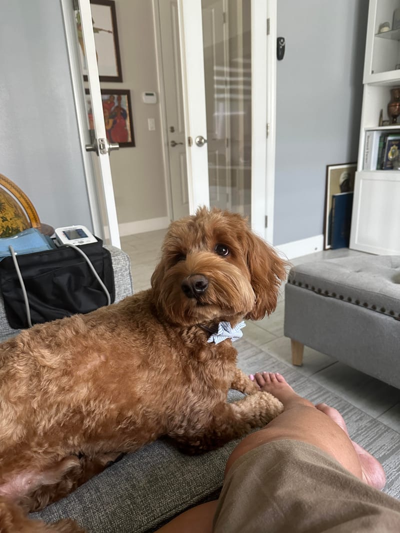 Rusty Turner - VDS Paw Possee Club