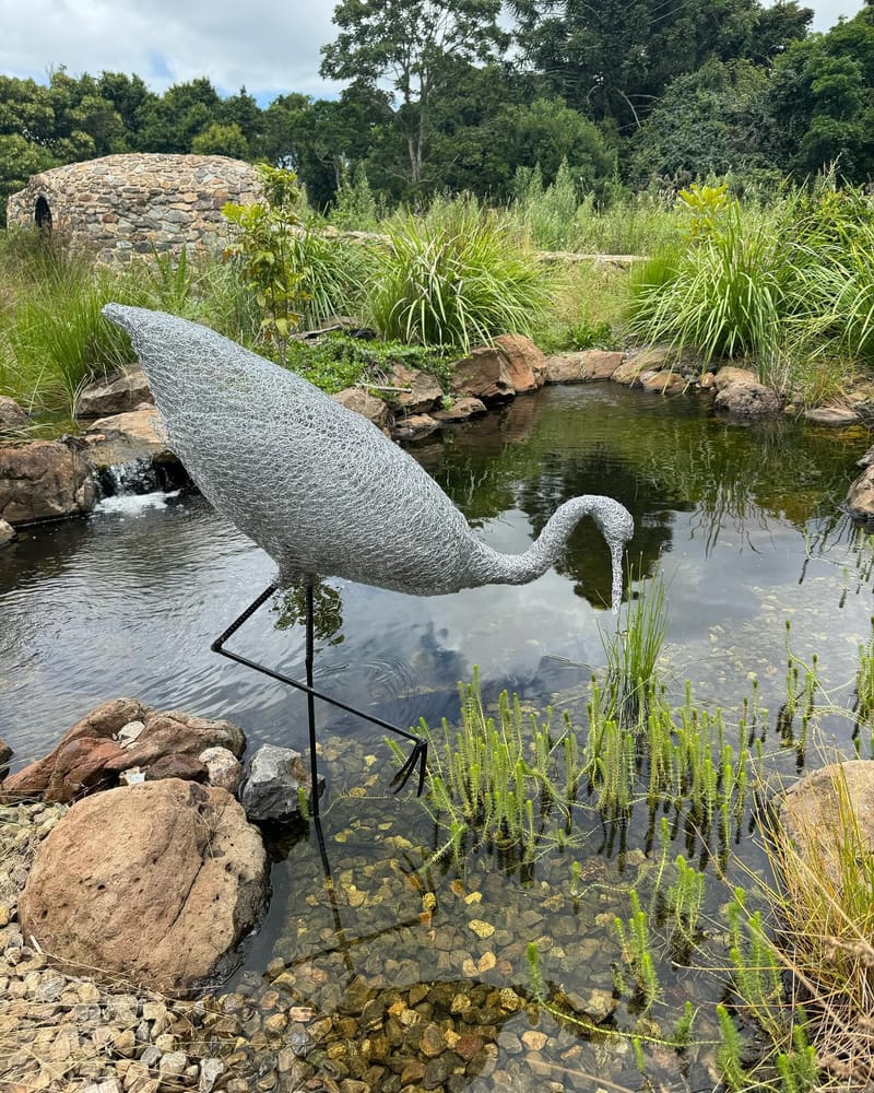 About Us - Wedgetail Winds Studio