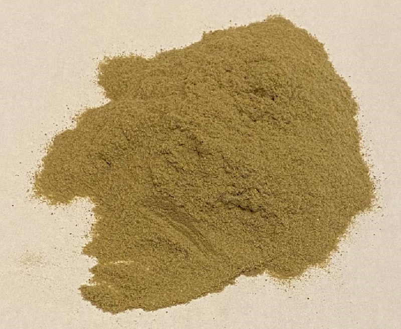 Spongilla lacustris: Harnessing Nature’s Power for Cosmetic Applicati