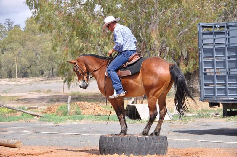 Outback Jack's Stockman Show - A Cracker Of A Show