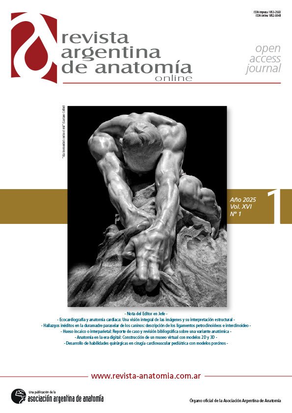 Anatomía en la Era Digital: Construcción de un Museo Virtual con Modelos 2D y 3D - Museo de ...