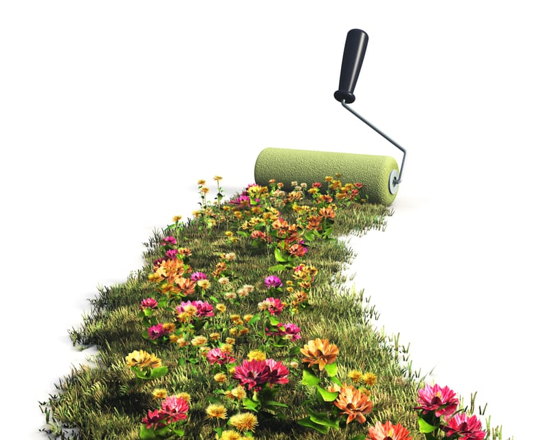 Boston Painters: Adding Color and Greenery with Every Paint Job