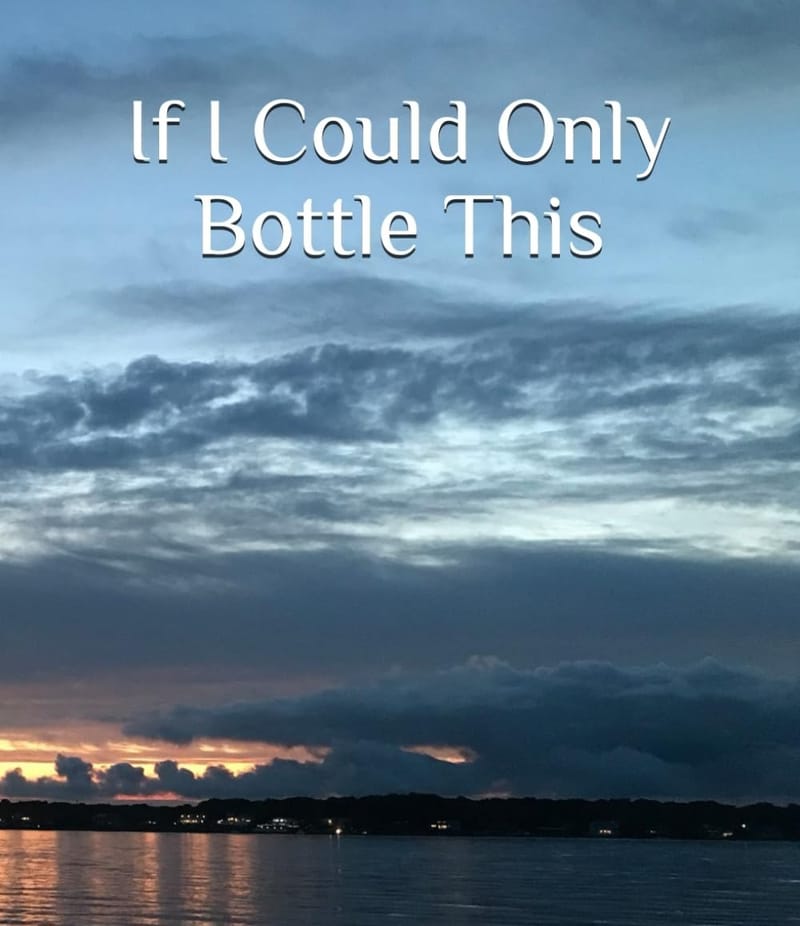 Cover Photography © 2024: Eliza Jo Morgan - Tammy Nuzzo-Morgan