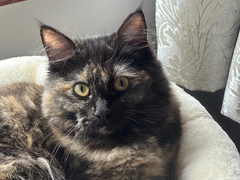 Our latest addition to JMPS - JM Process Systems