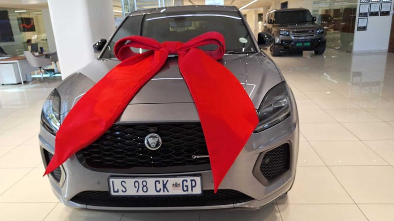 Bonnet Bows - Exclusive Car Bows & Covers