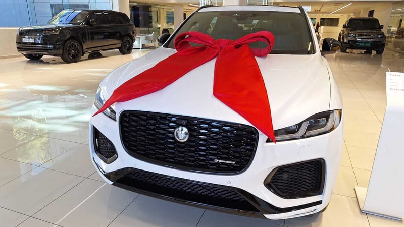 Bonnet Bows - Exclusive Car Bows & Covers