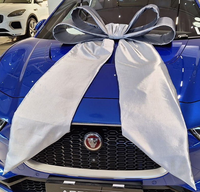 Bonnet Bows - Exclusive Car Bows & Covers