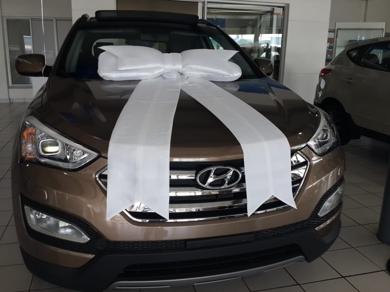 Bonnet Bows - Exclusive Car Bows & Covers