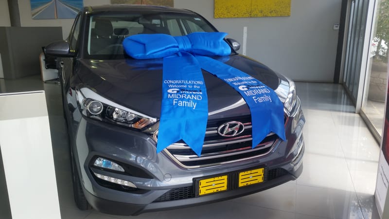 Bonnet Bows - Exclusive Car Bows & Covers