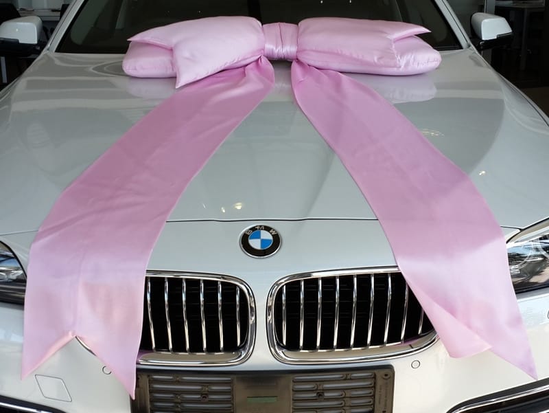 Bonnet Bows - Exclusive Car Bows & Covers
