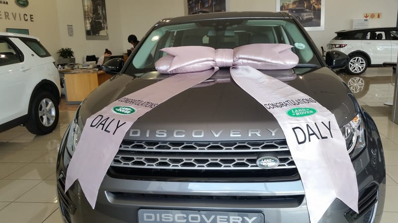 Bonnet Bows - Exclusive Car Bows & Covers