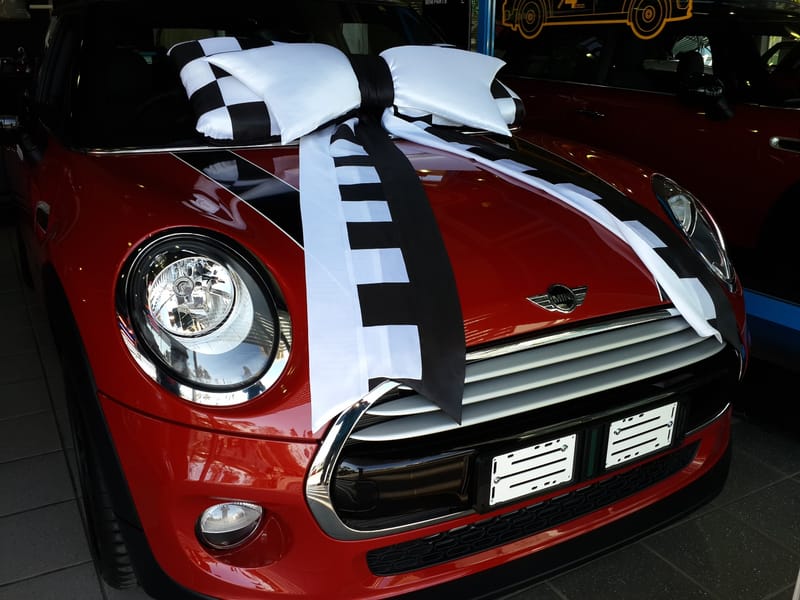 Bonnet Bows - Exclusive Car Bows & Covers