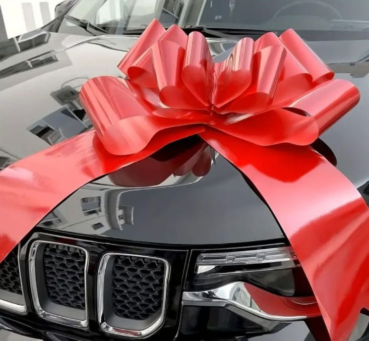 Large Bow-Knot SBow4 - Exclusive Car Bows & Covers