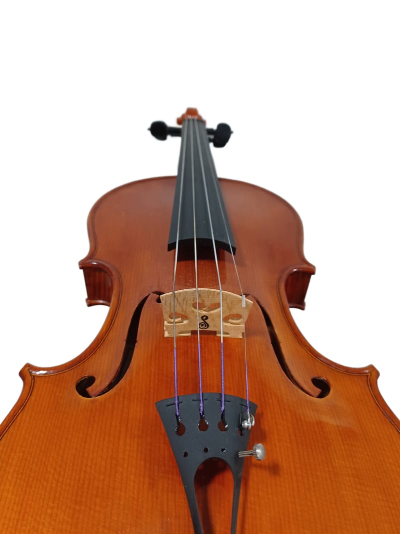 About New Boston Strings