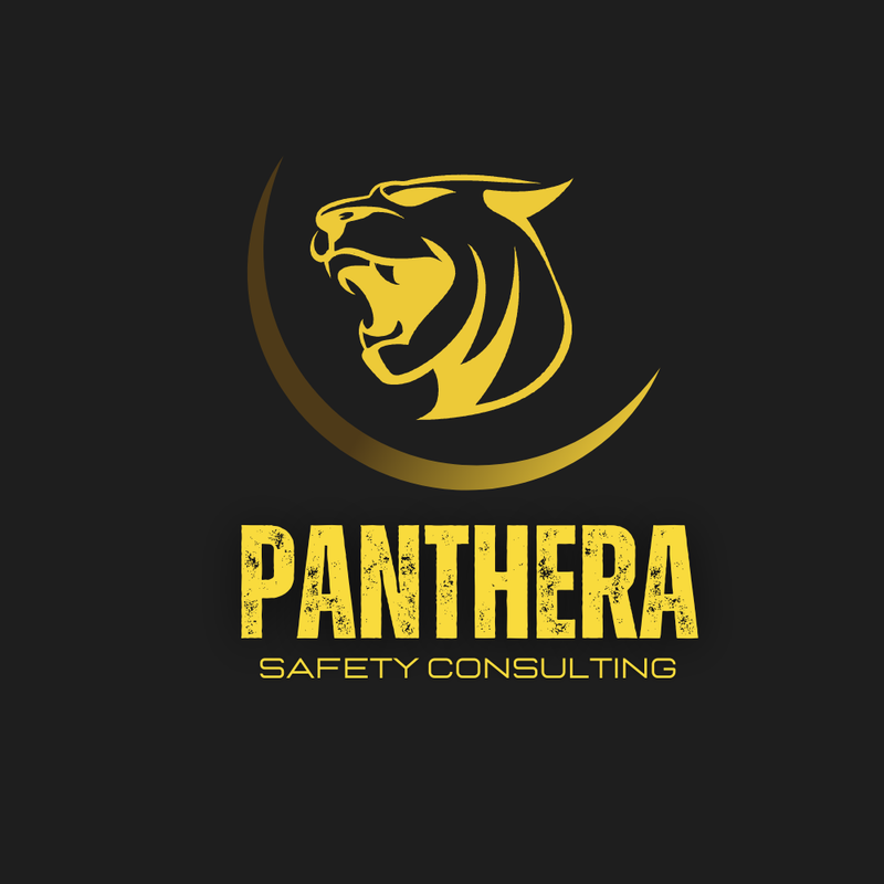 Panthera Safety Consulting | Expert Risk & Compliance Solutions