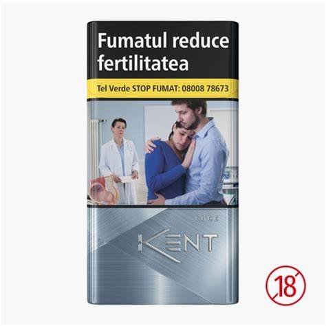 Kent Core (Silver 94 S) - Tabac & Vape Shop